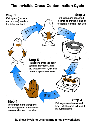Restroom Sanitation - Business Hygiene